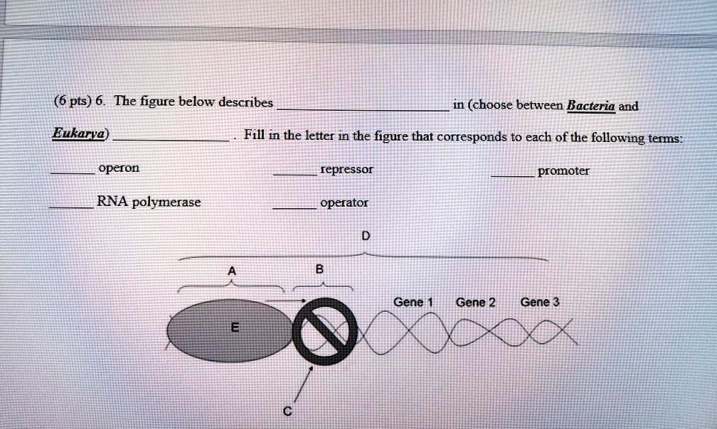 VIDEO solution: The figure below describes (choose between Bacteria and ...