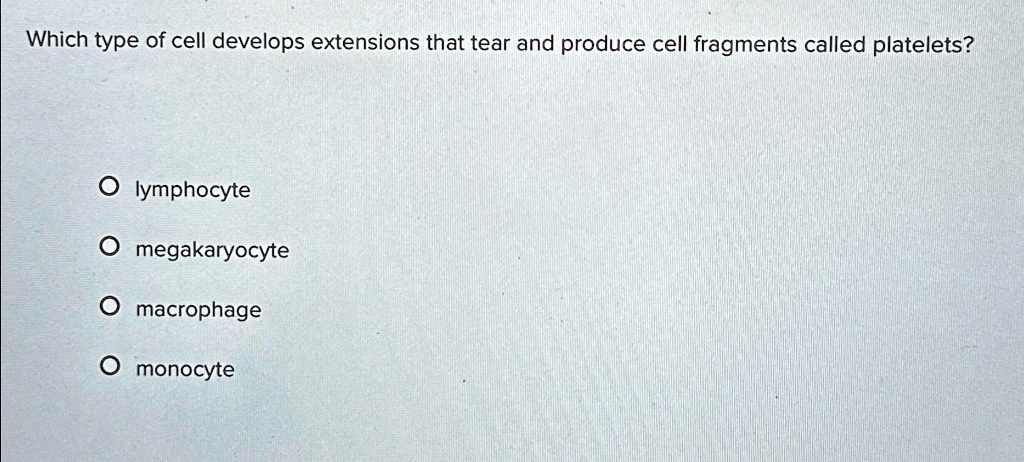 SOLVED: Which type of cell develops extensions that tear and produce ...