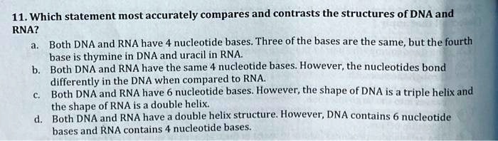 SOLVED: 11.Which statement most accurately compares and contrasts the structures of DNA and RNA ...