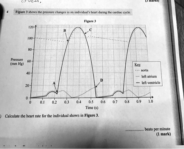 c7 90 20 figure shows the pressure changes individual heart during the ...