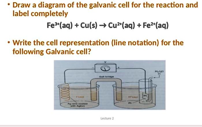 Galvanic Cell Labeled Diagram