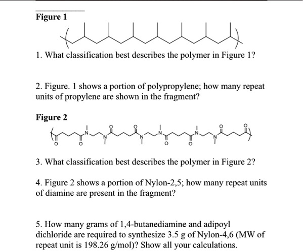 SOLVED: What classification best describes the polymer in Figure 1? 2 ...