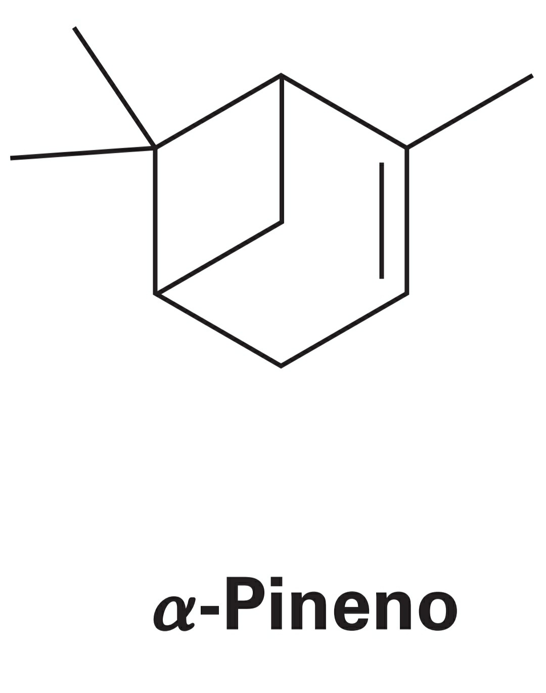 SOLVED: α-Pineno