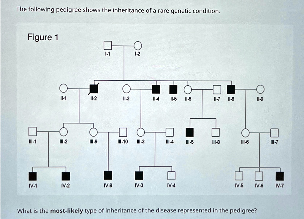 The following pedigree shows the inheritance of a rare genetic ...