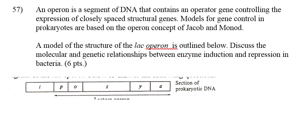 SOLVED: An operon is a segment of DNA that contains an operator gene ...