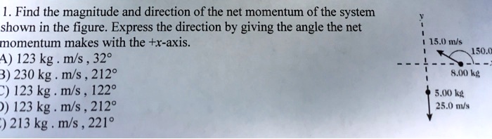 1. Find the magnitude and direction of the net momentum of the system ...