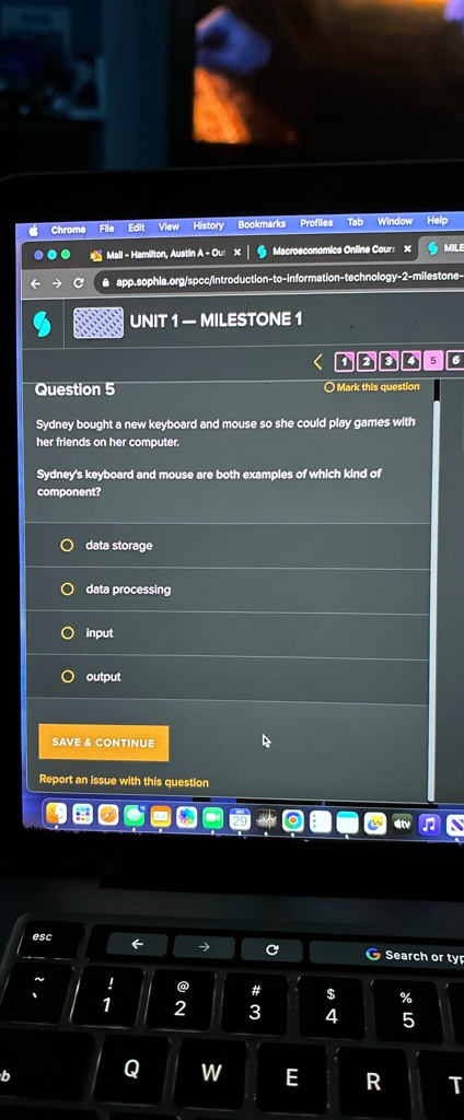 Chrome File Edit View History Bookmarks Profiles Tab Window Help ...Mall - Hamilton, Austin A ...