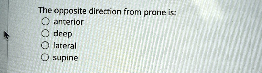 The opposite direction from prone is: ? anterior ? deep ? lateral ? supine