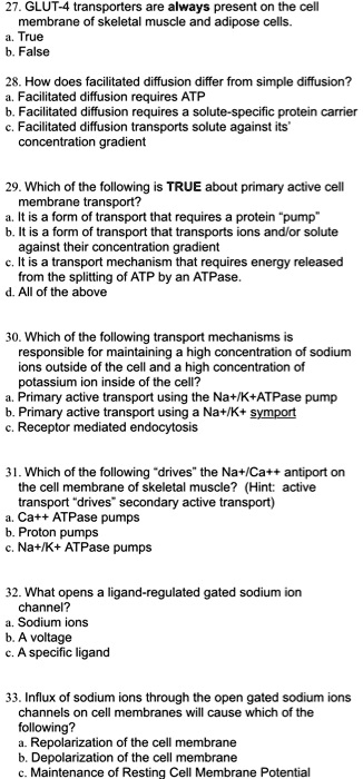 SOLVED: 27. GLUT-4 transporters are always present on the cell membrane skeletal muscle and ...