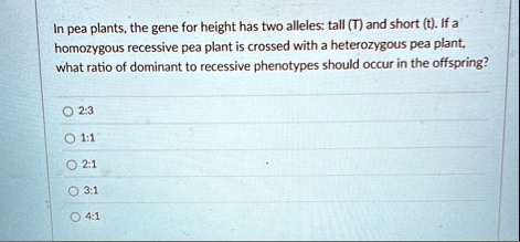 in pea plants the gene for height has two alleles tall t and short t if ...