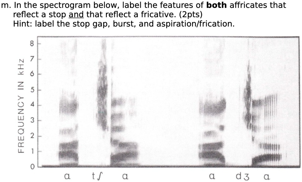 m in the spectrogram below label the features of both affricates that ...
