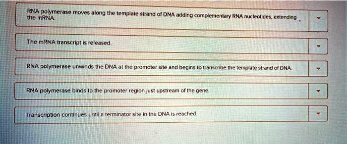 SOLVED: Hello!! I need help placing these in the correct order 1-5 ...