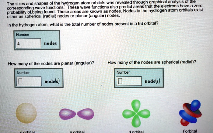 Solved The Sizes And Shapes Of The Hydrogen Atom Orbitals Was Revealed