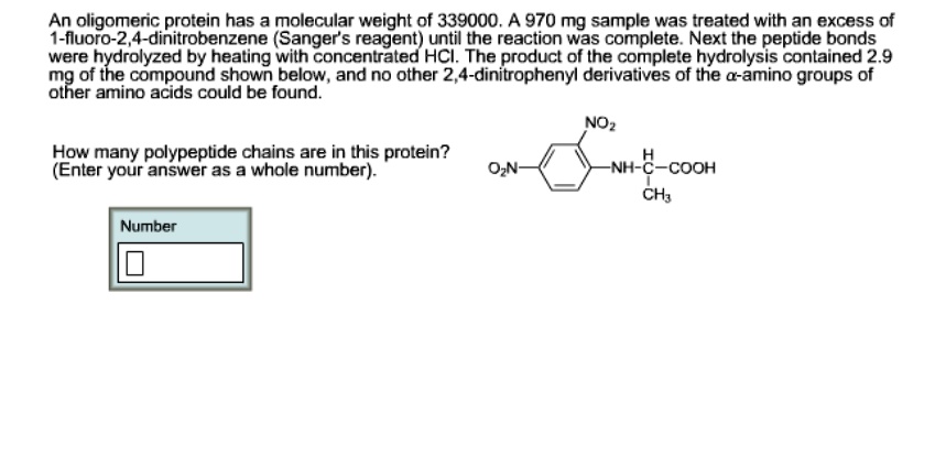 SOLVED: An oligomeric protein has a molecular weight of 339000. A 970 ...