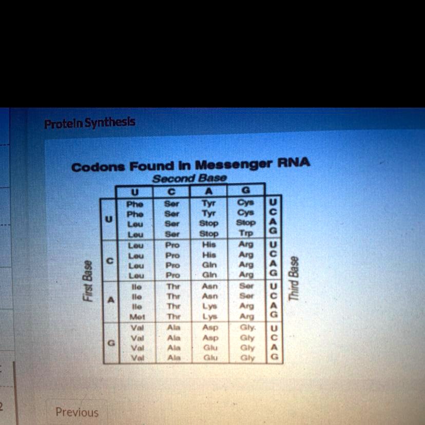 [GET ANSWER] Protein Synthesis Codons Found in Messenger RNA Second ...