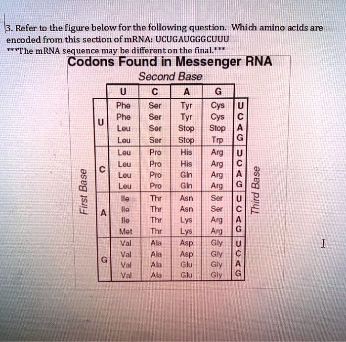 SOLVED: Refer to the figure below for the following question: Which ...