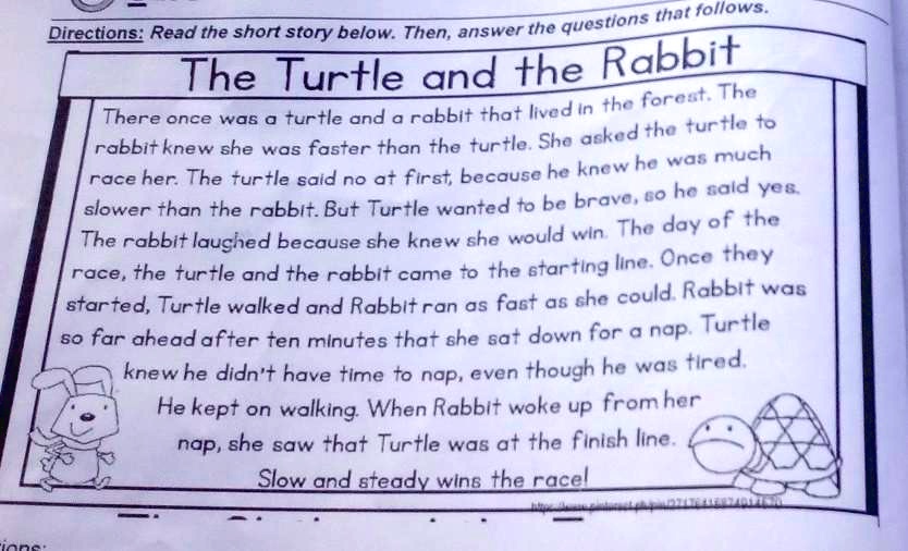 SOLVED: What are the similarities and differences between the rabbit ...