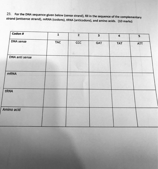 23. For the DNA sequence given below (sense strand), fill in the sequence of the complementary ...