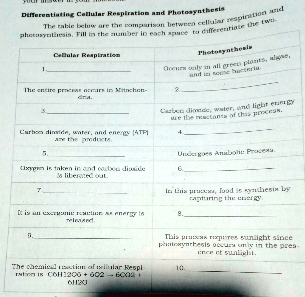 Differentiating Cellular Respiration and Photosynthesis The table below ...