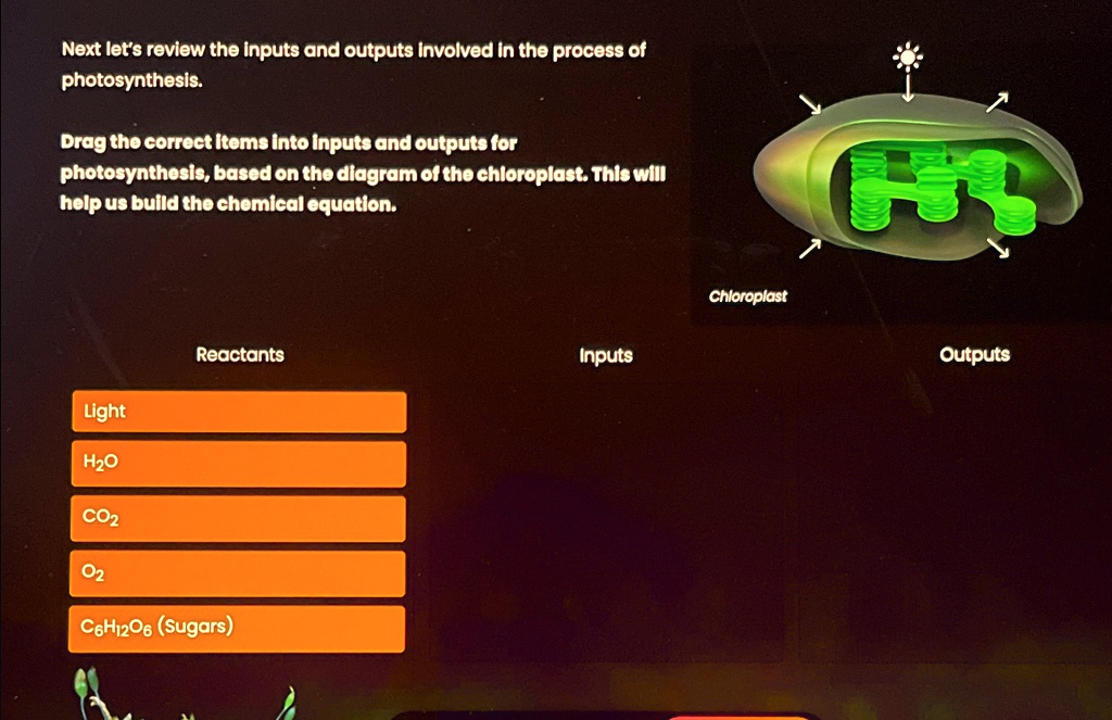 next lets review the inputs and outputs involved in the process of ...