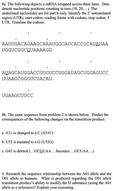 SOLVED: The following depicts mRNA wrapped across three lines. Dots ...