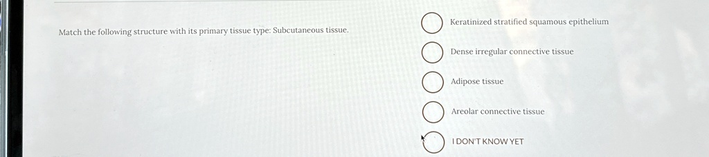 Match the following structure with its primary tissue type ...