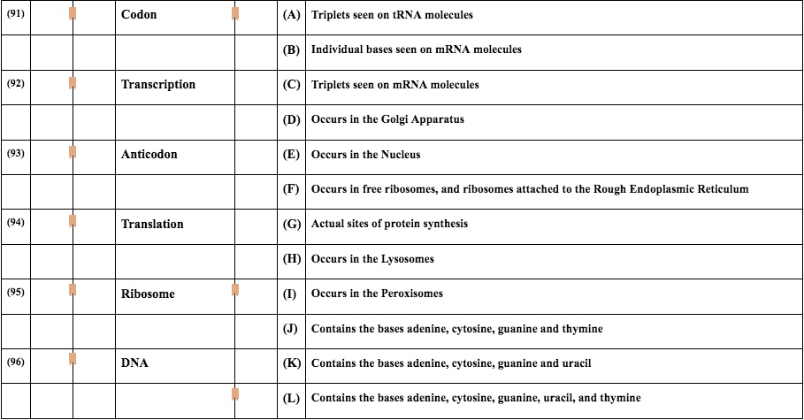 SOLVED: Codon Triplets seen in tRNA molecules Individual bases seen in ...