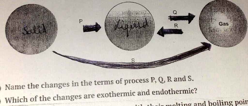 SOLVED: '(a) Name the changes in the terms of process P, Q, R and S.(b) Which of the changes are ...