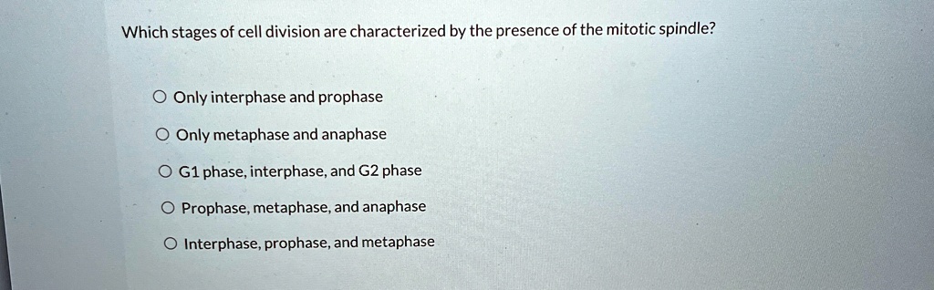 Which stages of cell division are characterized by the presence of the ...