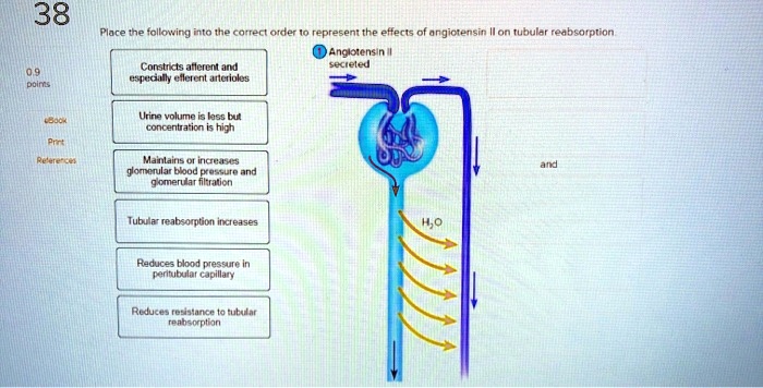 SOLVED: 38. Place the following into the correct order to represent the ...