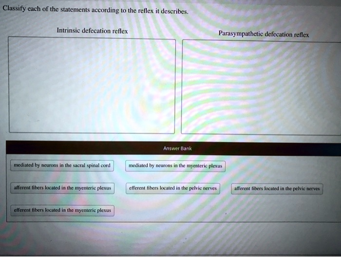 Classify each of the statements according to the reflex it describes ...
