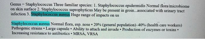 SOLVED: Genus Staphylococcus Three familiar species: Staphylococcus ...
