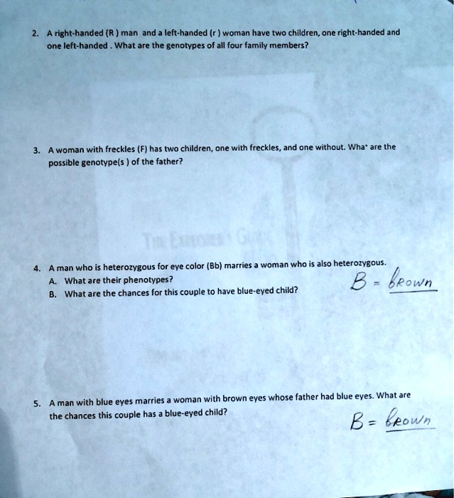 SOLVED: A right-handed (R man and left-handed (r ) woman have two ...