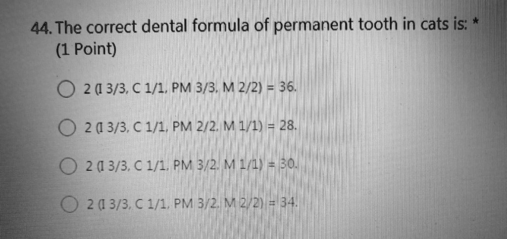 VIDEO solution: The correct dental formula of permanent teeth in cats ...