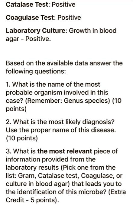 catalase test positive coagulase test positive laboratory culture ...
