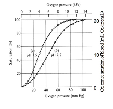 Saturation (%) Oxygen pressure (kPa) 0 2 4 6 8 10 12 14 100 20 80 60 (a ...