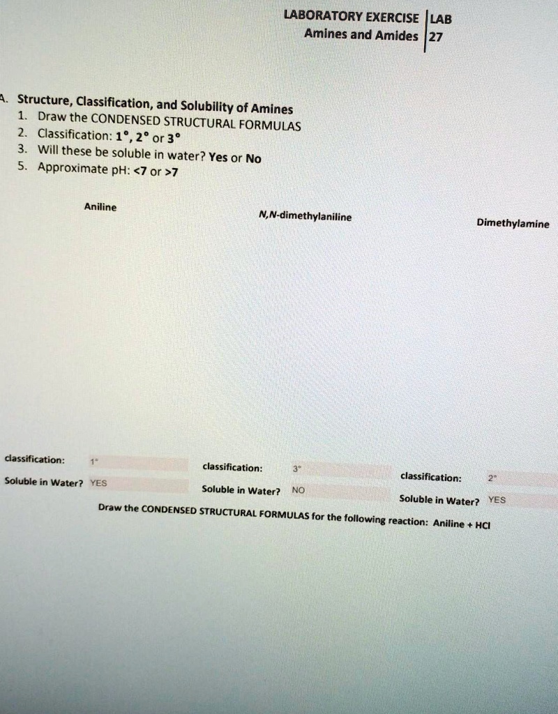 LABORATORY EXERCISE LAB Amines and Amides 27 A. Structure, Classification, and Solubility of ...
