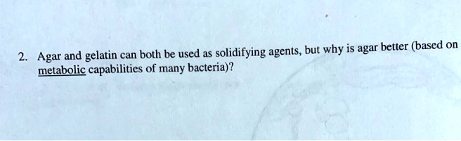 SOLVED: and gelatin can both be used as solidifying agents but why is agar better (based on Agar ...