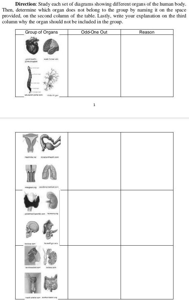 Direction: Study each set of diagrams showing different organs of the ...