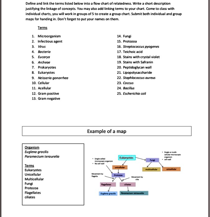 SOLVED: Text: Define and link the terms listed below into a flow chart ...