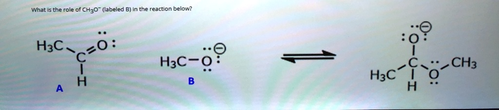 SOLVED: What is the role of CH30- (labeled B) in the reaction below ...