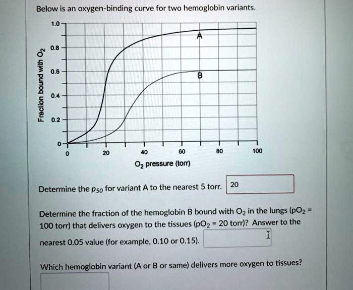 below is an oxygen binding curve for two hemoglobin variants 6 08 1 06 ...