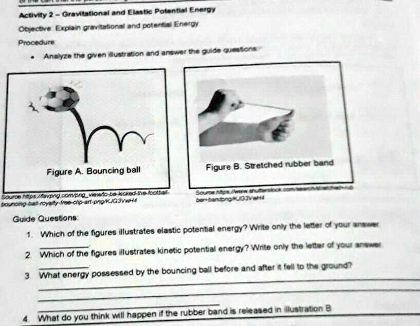 SOLVED: Guide Questions: 1. Which of the figures illustrates elastic ...