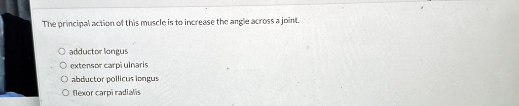 The principal action of this muscle is to increase the angle across a ...