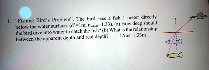 1. "Fishing Bird's Problem". The bird sees a fish 1 meter...