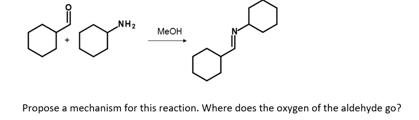 SOLVED: NH2 MeOH Propose mechanism for this reaction: Where does the ...