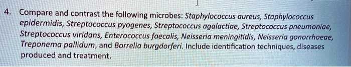 compare and contrast the following microbes staphylococcus aureus ...