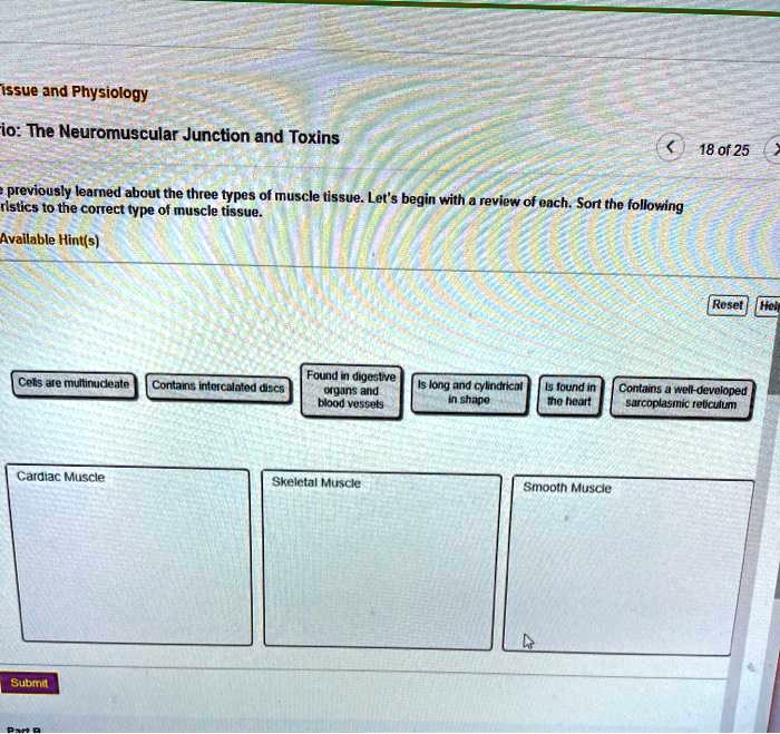 Introduction: The Neuromuscular Junction and Toxins 18 of 25 Previously ...