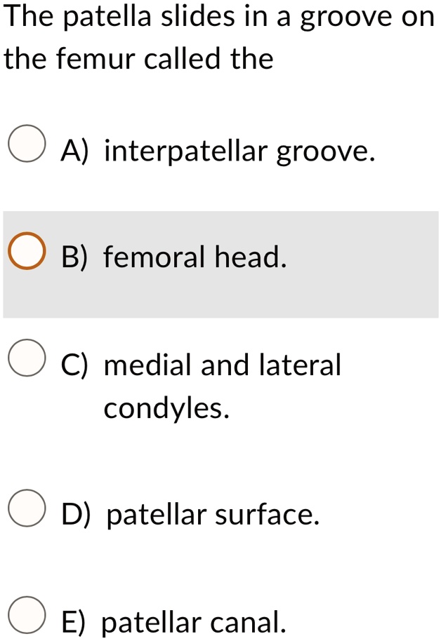 The patella slides in a groove on the femur called the A) interpatellar ...