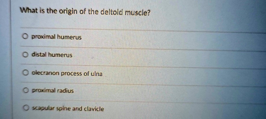 What is the origin of the deltoid muscle? proximal humerus distal ...